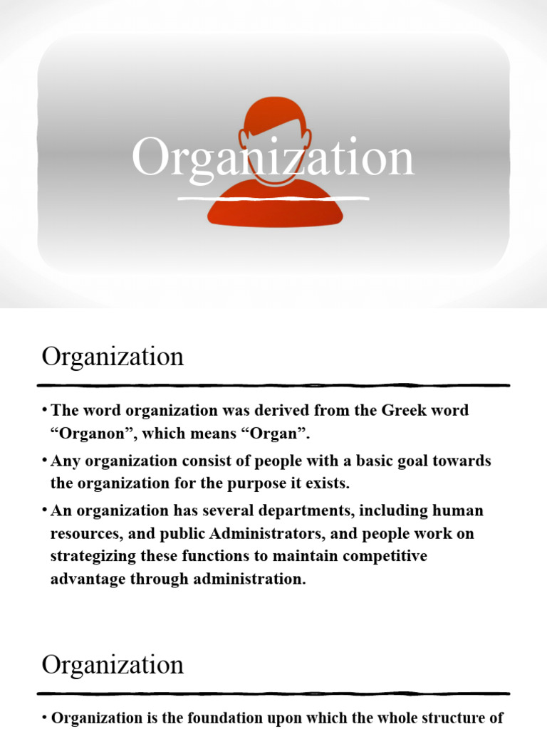 Lesson 3-Organization | PDF | Organizational Structure | Hierarchy