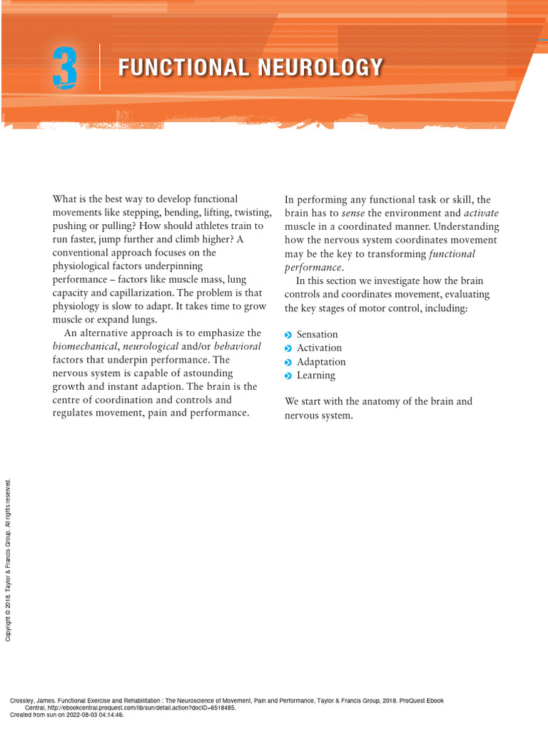 Functional Exercise and Rehabilitation The Neurosc... - (3. Functional Neurology) | PDF | Neuron ...