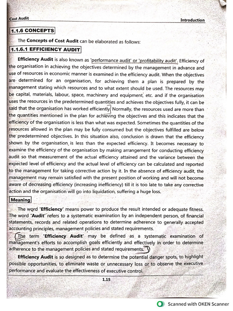 New Efficiency Audit | PDF