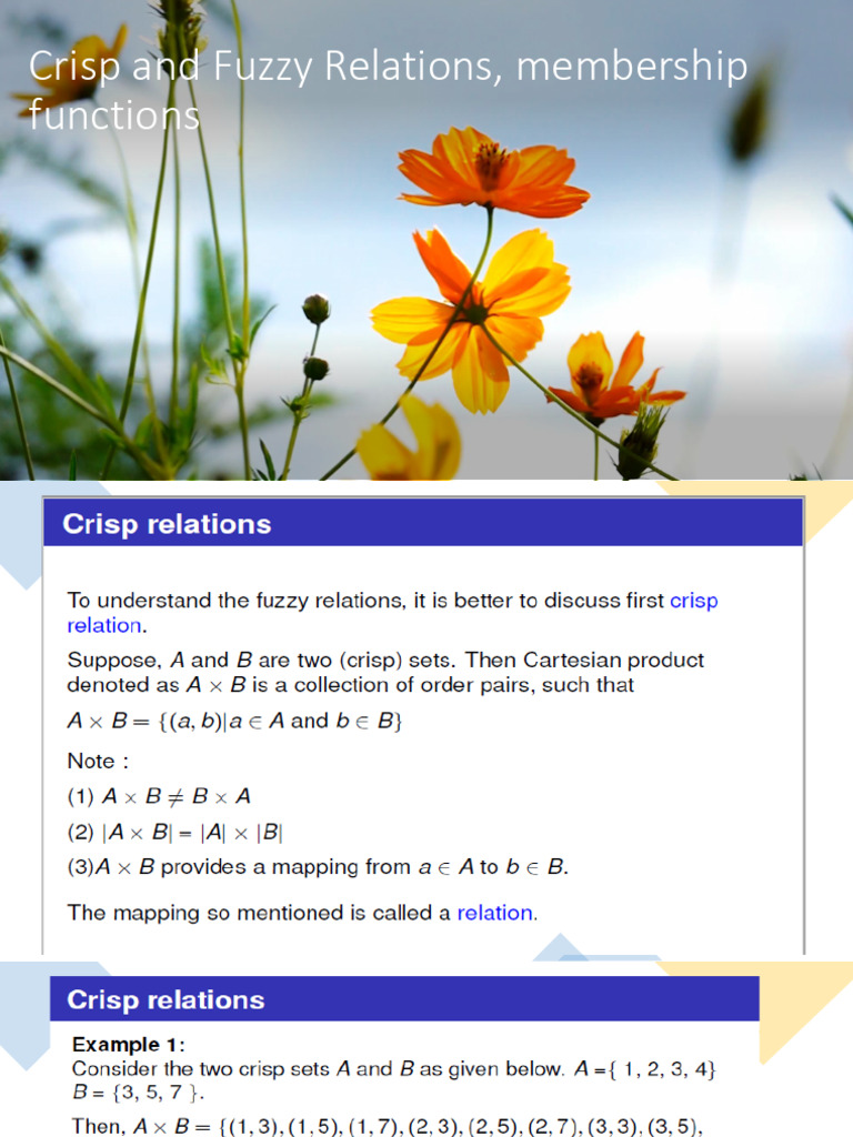 Chp4 Crisp and Fuzzy Relation, Membership Functions1 | PDF | Function (Mathematics) | Fuzzy Logic