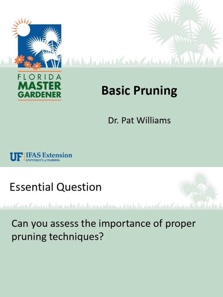 Pruning Techniques for Gardeners | PDF | Pruning | Shrub