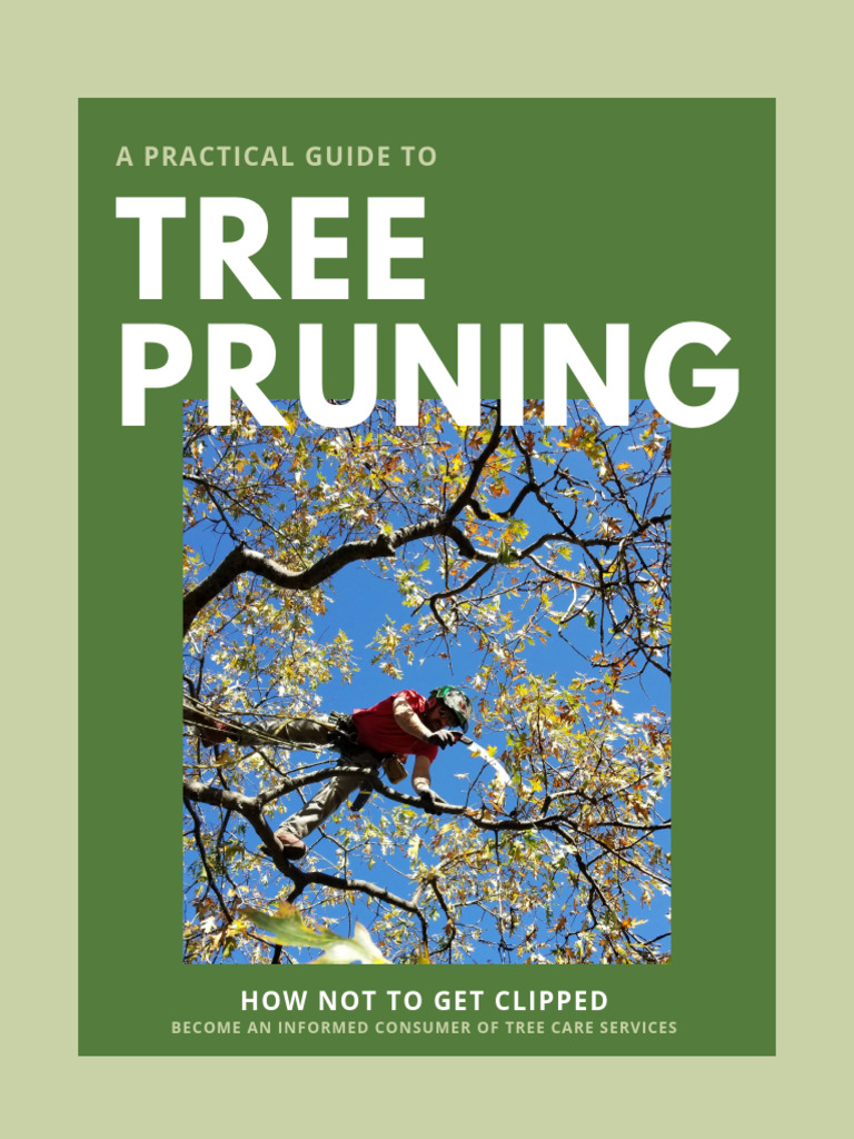California A Practical Guide To Tree Pruning | PDF | Pruning | Trees