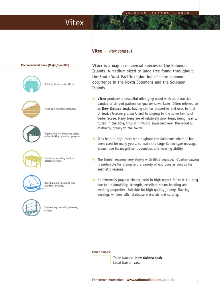 Vitex | PDF | Wood | Civil Engineering