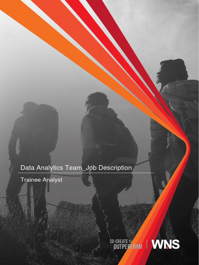JD - Data Analytics (Triange) | Download Free PDF | Analytics | Data