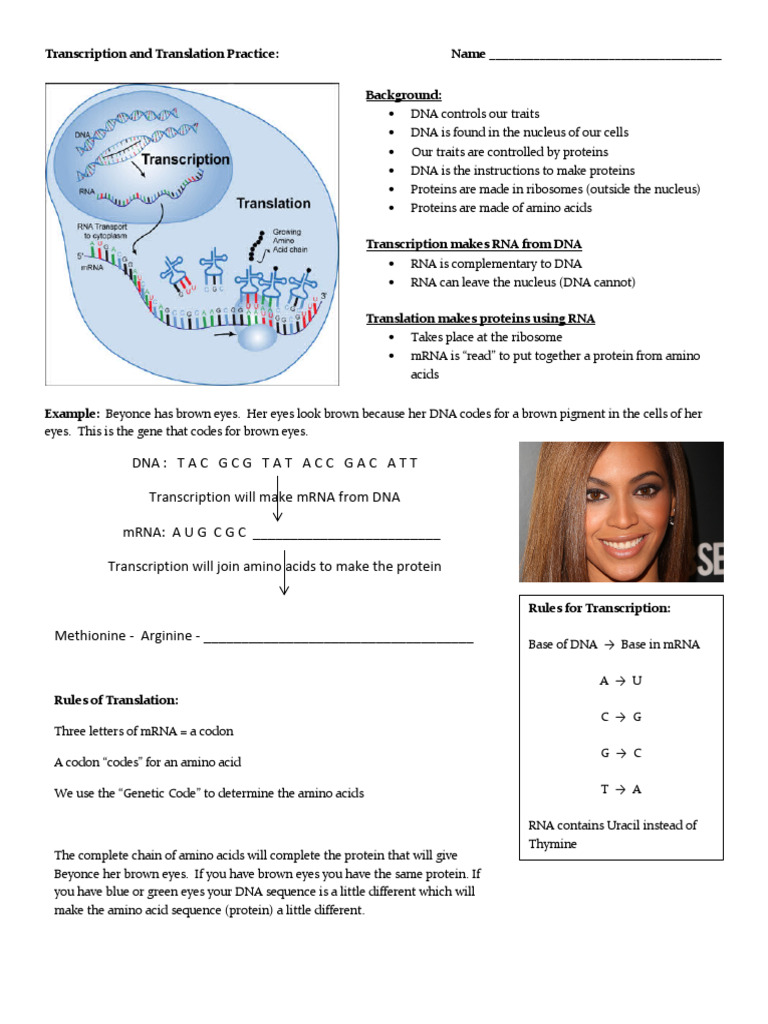 Genetics Practice for Students | PDF | Translation (Biology) | Nucleic ...