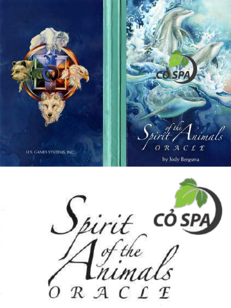 SPIRIT | PDF