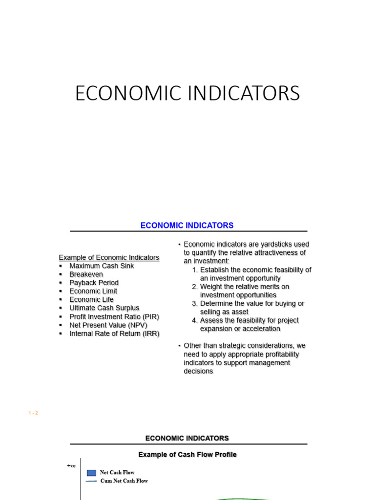 10 Economic Indicators | PDF | Net Present Value | Internal Rate Of Return