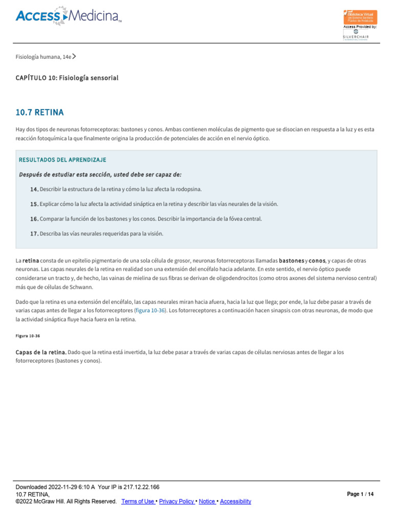RETINA | PDF | Percepción visual | Nervio