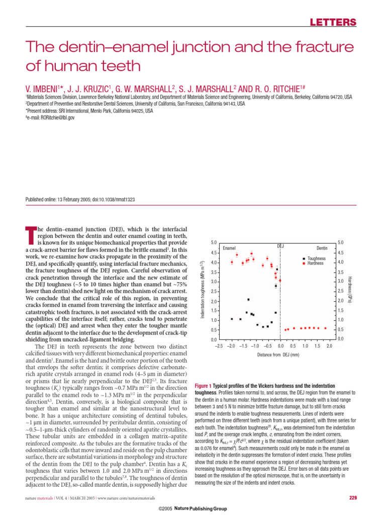 The Dentin Enamel Junction And The Fracture Of Human Teeth Pdf