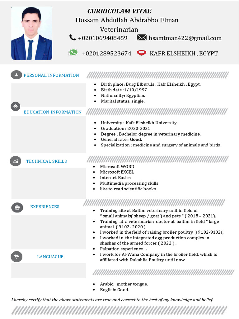 CV Hossam Etman 2024 | PDF | Veterinary Medicine | Animals And Humans