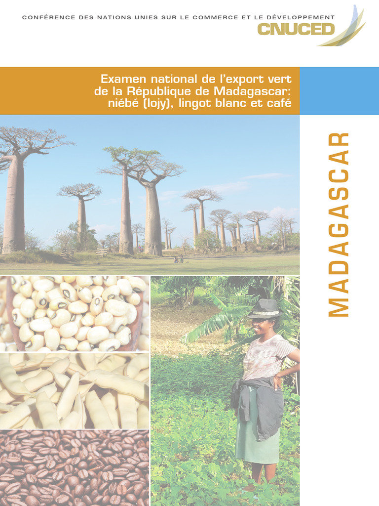 Exportation et culture du café à Madagascar | PDF | Madagascar | Café