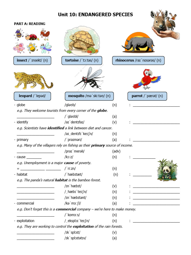 Student G12 Unit 10 Handout Vocabulary | PDF | Gorilla | Natural Environment