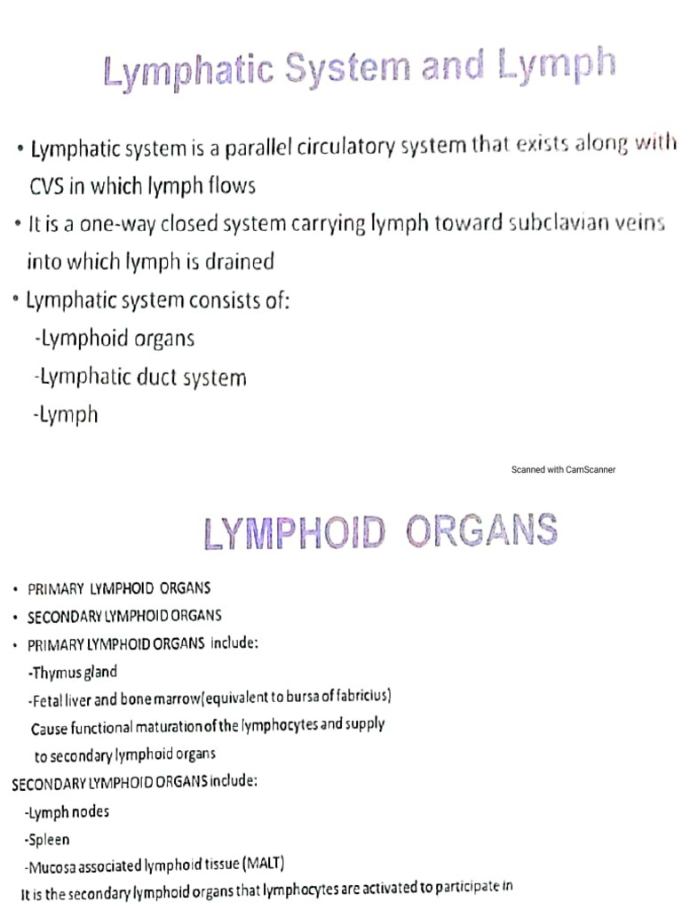 Lymphoid Organ & Lymph | PDF