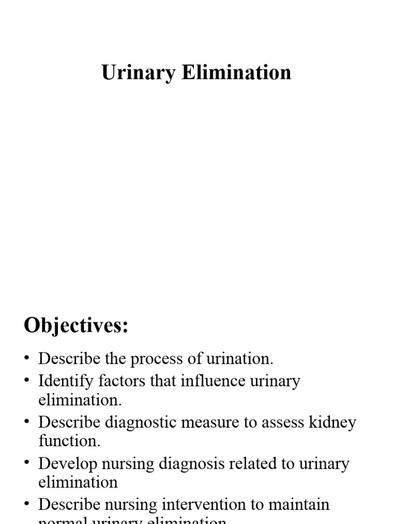 Understanding Urinary Elimination Processes | PDF | Urinary ...