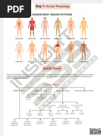 Animal Tissue Grade 10 Term 3 Notes Summaries | PDF