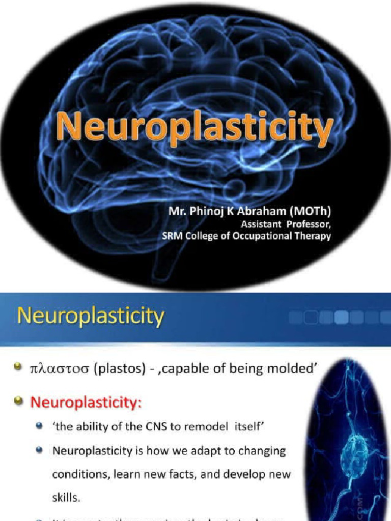 Introduction To Neuroplasticity Its Application in Neuro Rehabilitation | PDF