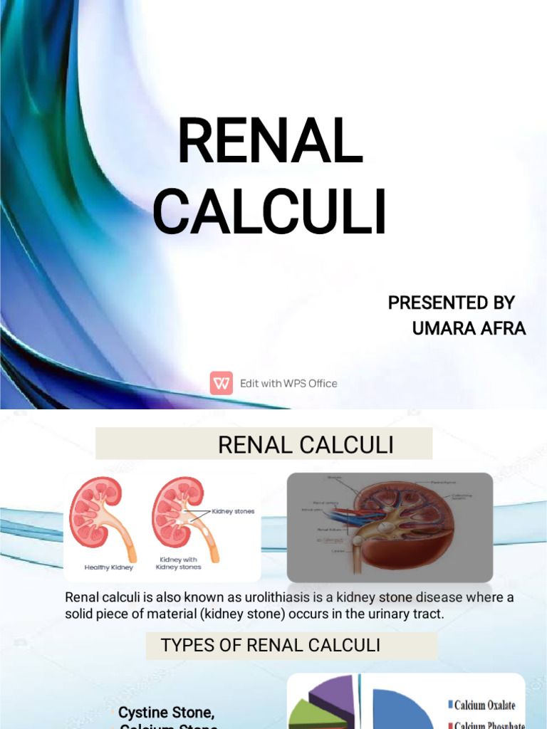 Renal Calculi | PDF
