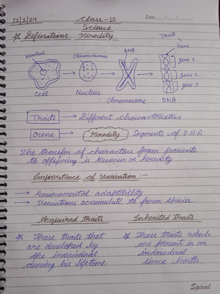 Class 10 Heredity | PDF