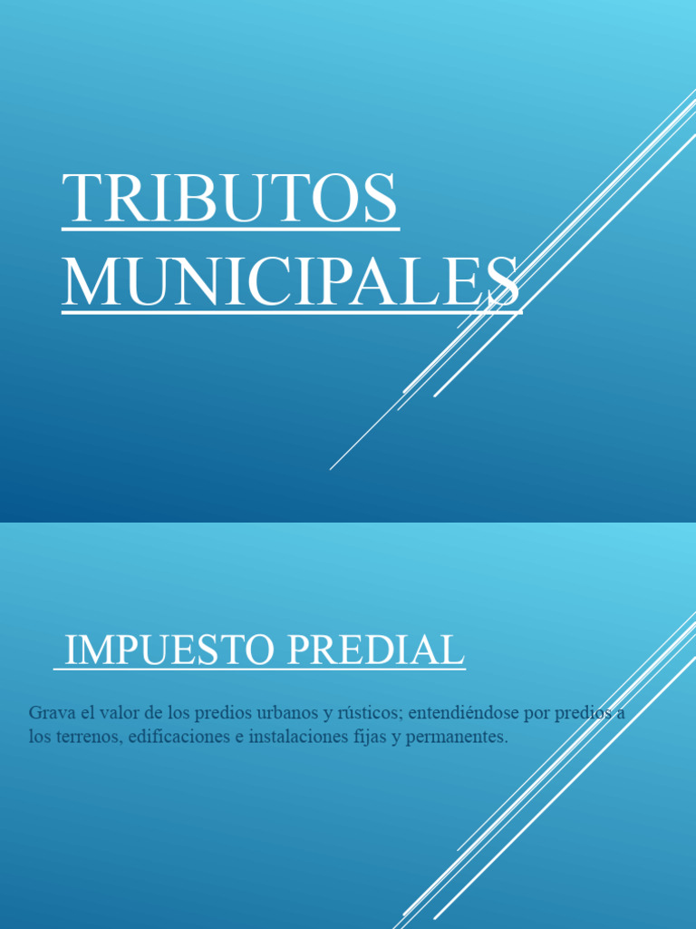 Tributos Municipales | PDF