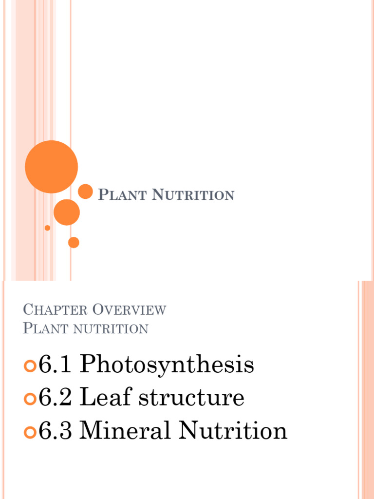 Plant Nutrition | PDF
