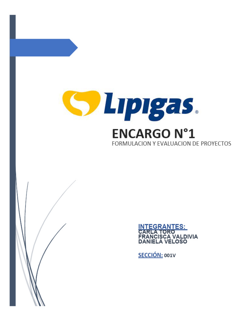 Informe Ev. de Proyecto Lipigas | PDF