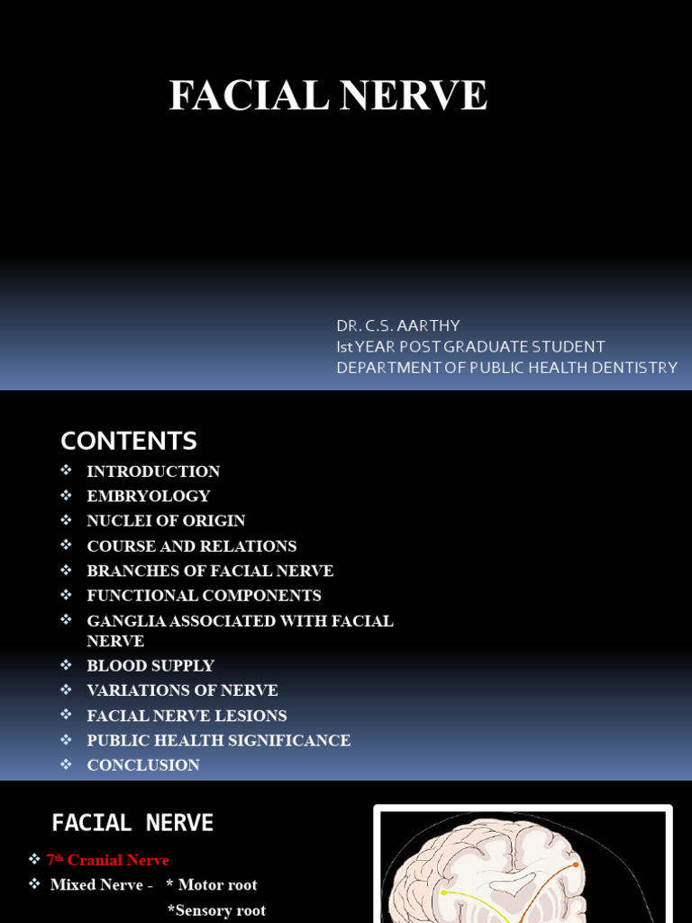 Facial Nerve | PDF | Human Anatomy | Human Head And Neck