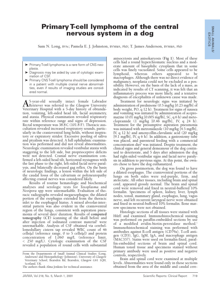 Primary T-cell Lymphoma of the Central 2001 | PDF | Lymphoma ...