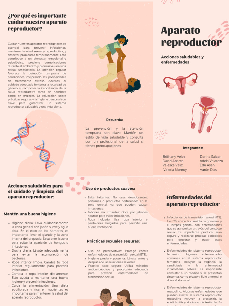 Aparato Reproductor Triptico | PDF | Infección transmitida sexualmente | Higiene