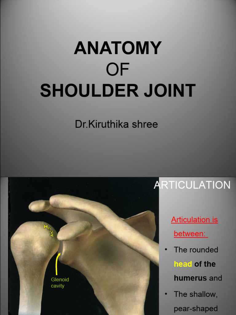 07-Shoulder Joint | PDF | Shoulder | Anatomical Terms Of Motion