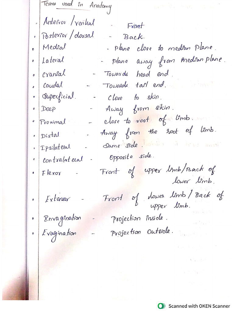 Hrishita - Anatomy Observation | PDF