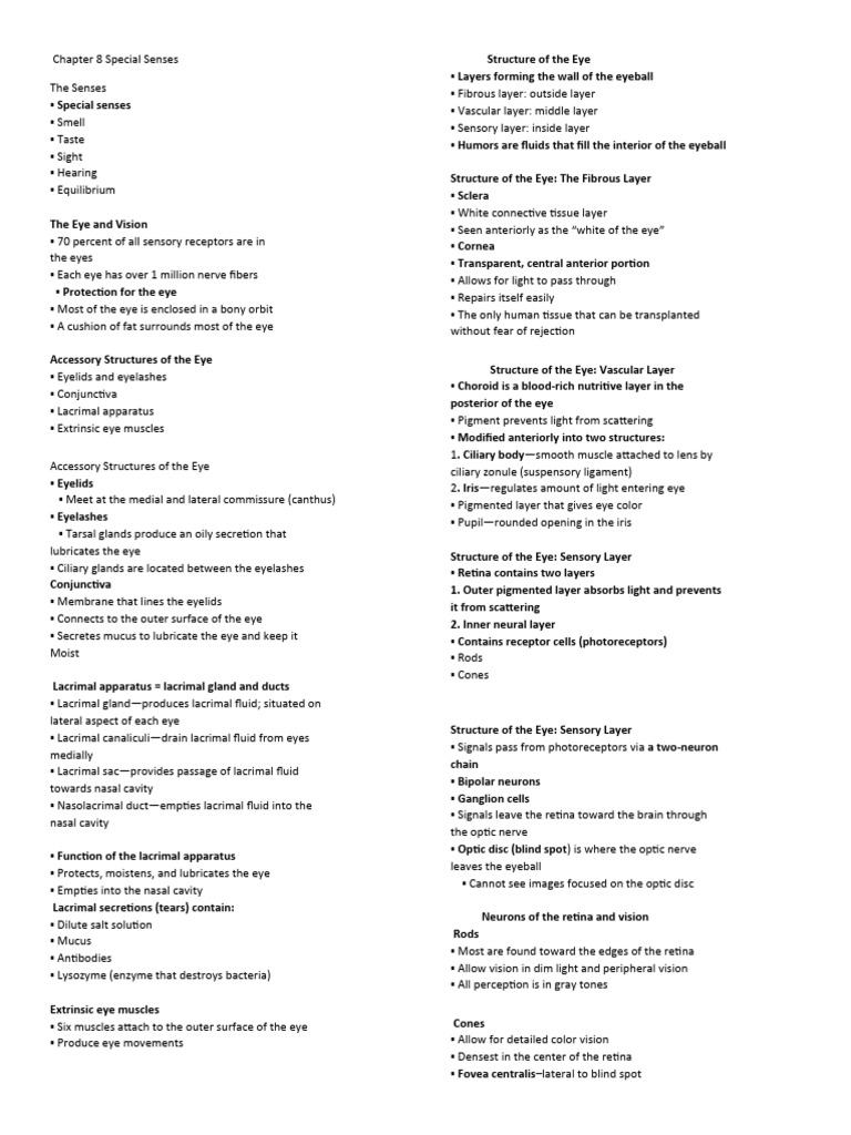 Understanding Special Senses: Eye & Ear | PDF | Ear | Hearing