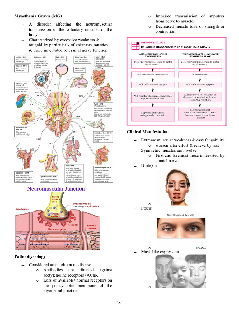 NCM116 Myasthenia Gravis MG Multiple Sclerosis Guillain Barre Syndrom GBS SF | Download Free PDF ...