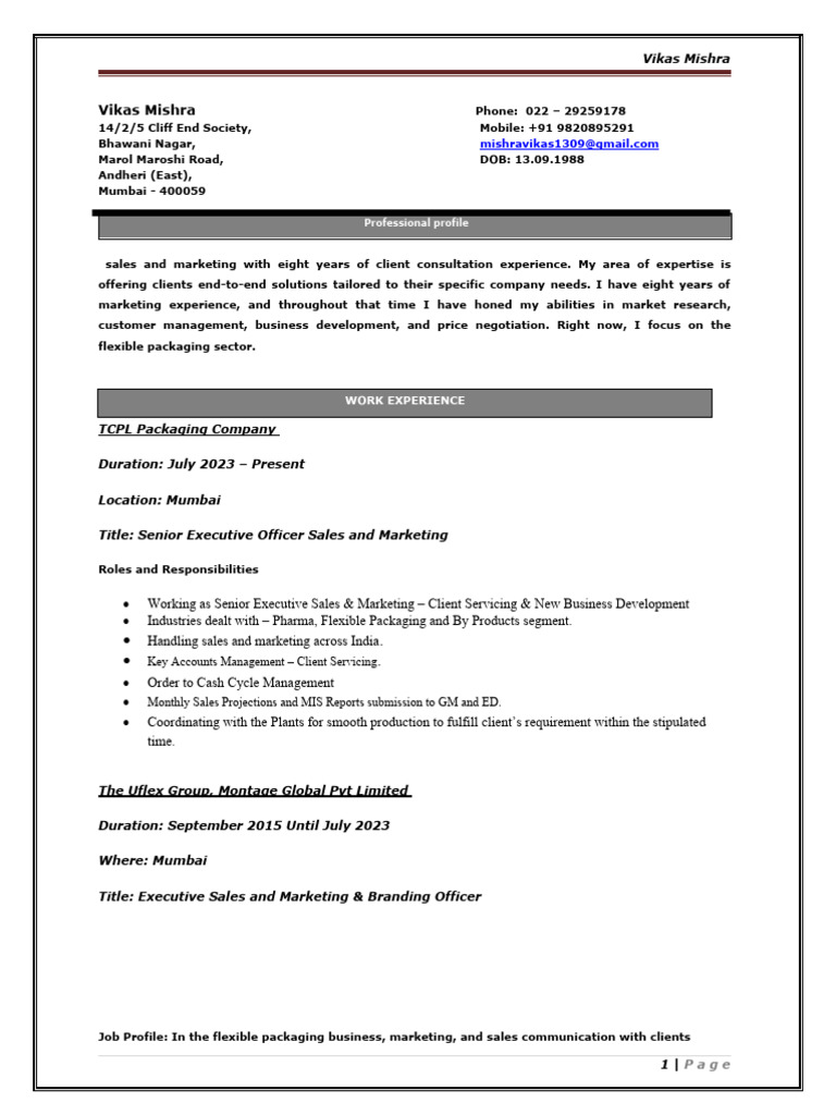 Vikas Mishra Update CV | PDF | Marketing | Sales