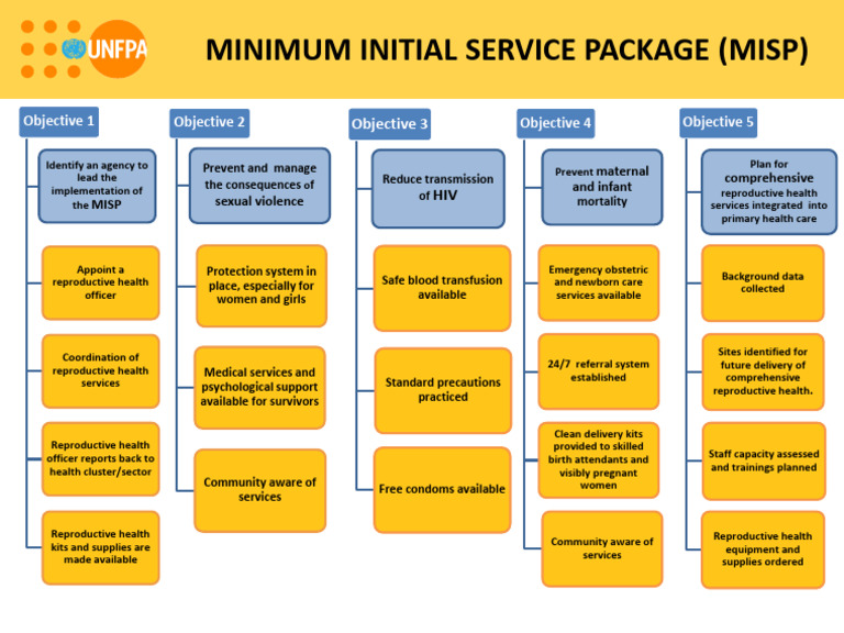 MISP Objectives | PDF | Medicine | Health Economics