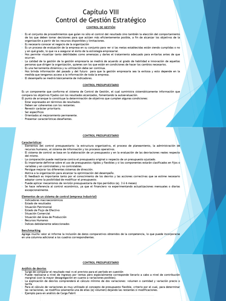 Capítulo VIII - Control de Gestión Estratégico | PDF