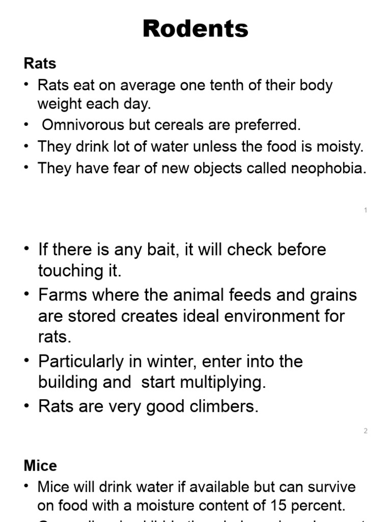 Rodent Control | PDF