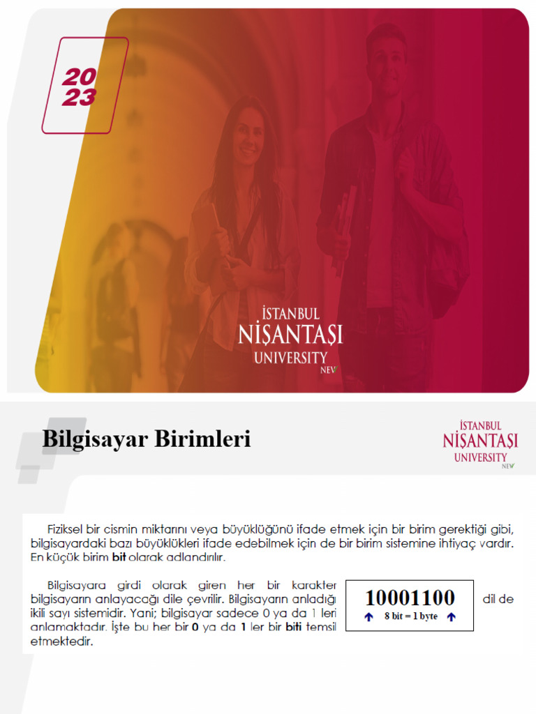 Bilgi | PDF