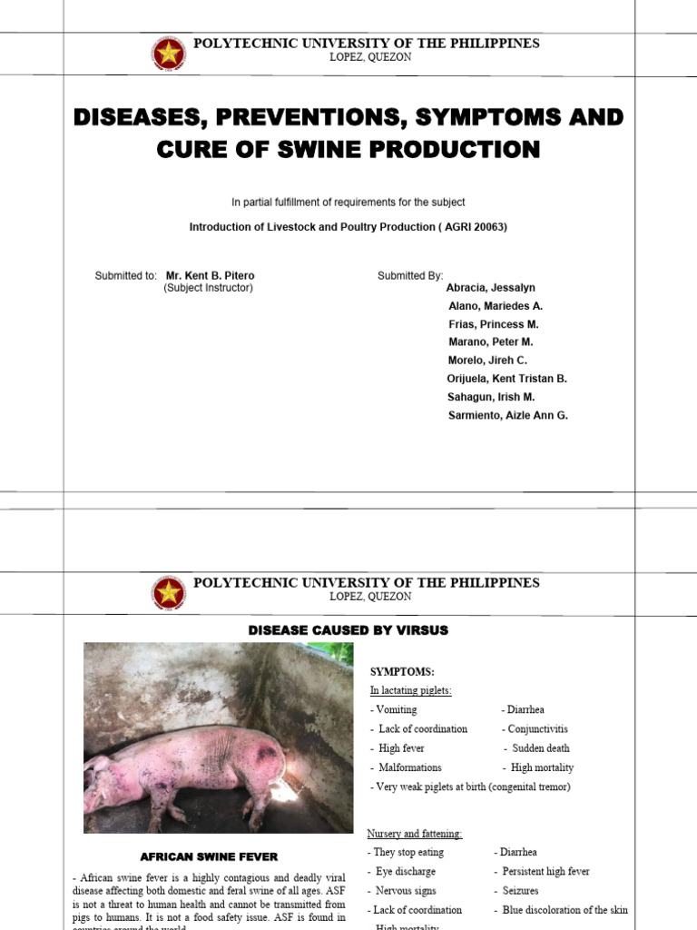 Swine Disease | PDF | Pig | Diarrhea