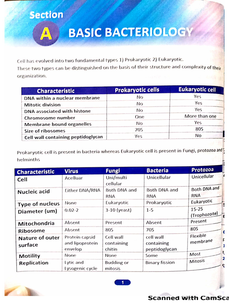 Basic and Clinical Bacteriology (Instant Microbiology) | PDF