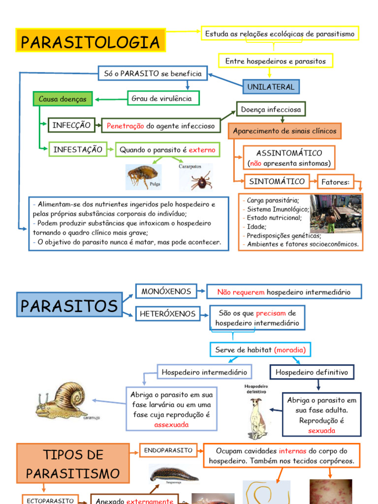Parasitos - Mapa Mental | PDF | Parasitismo | Corpo humano