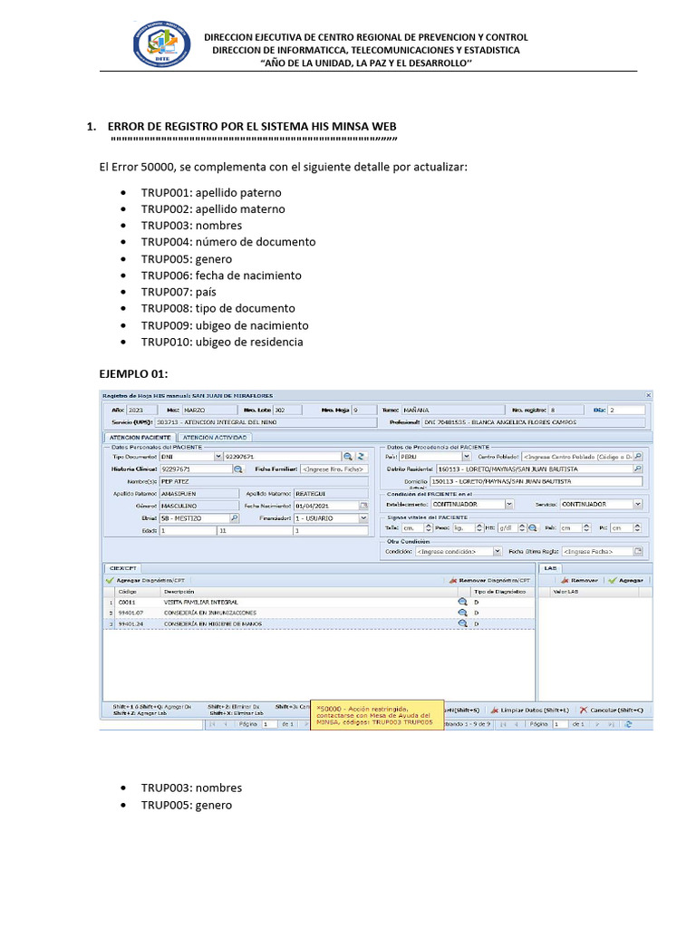 Errores y Soluciones en Registro HIS MINSA | PDF