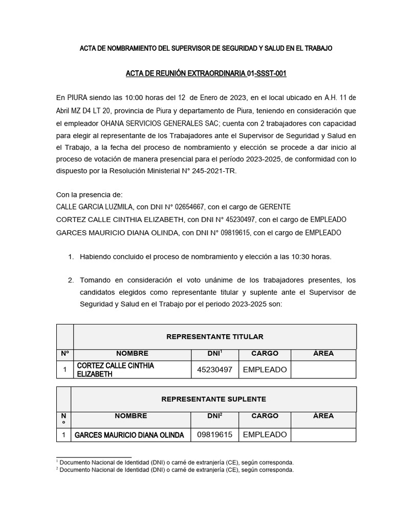 SSST 1_acta de nombramiento doña | PDF | Gobierno | Responsabilidad