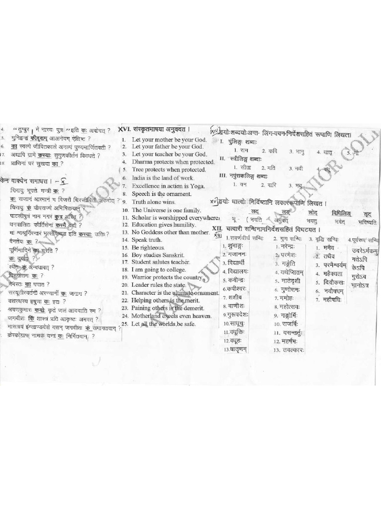 Sanskrit Important Questions | PDF