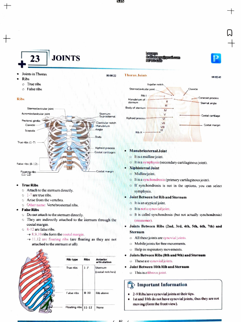 Respiratory | PDF | Thorax | Exhalation