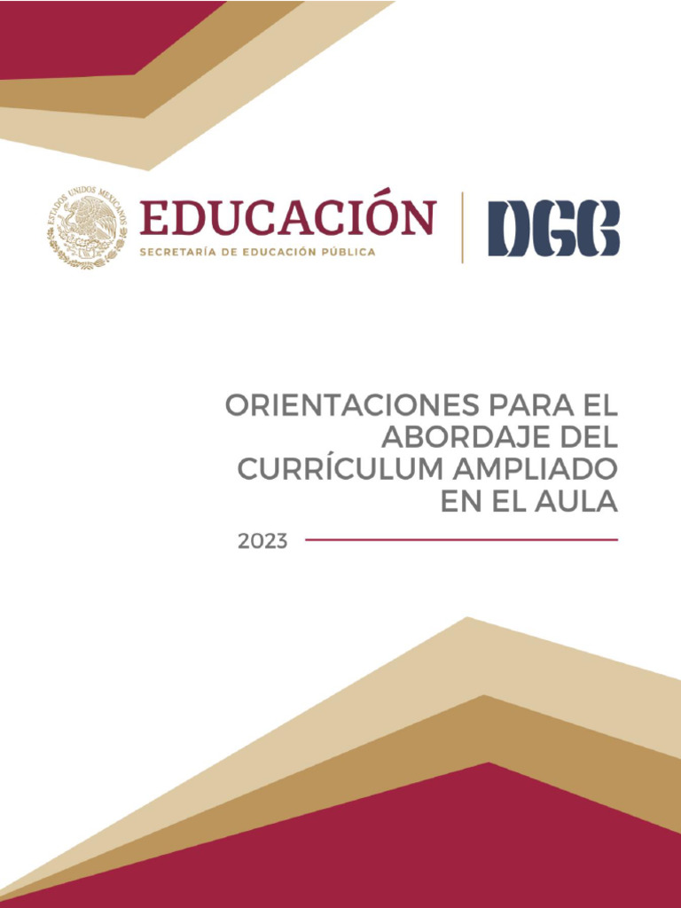 Currículum Ampliado | PDF | Plan de estudios | Evaluación