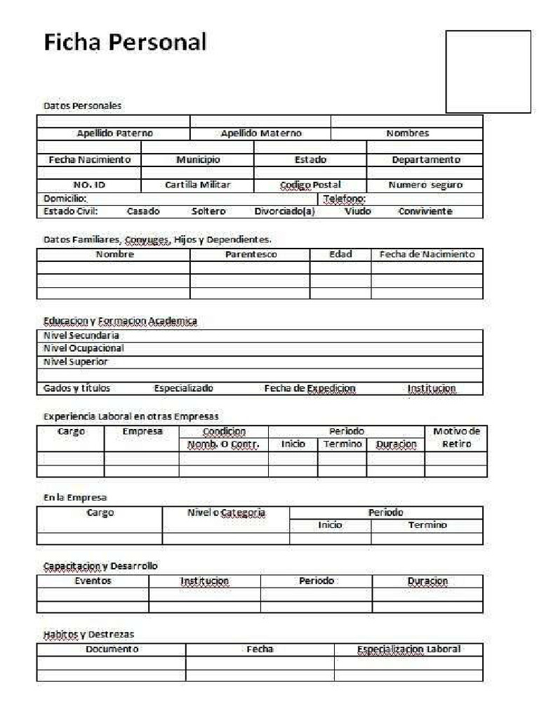 Estructura Ficha Personal | PDF