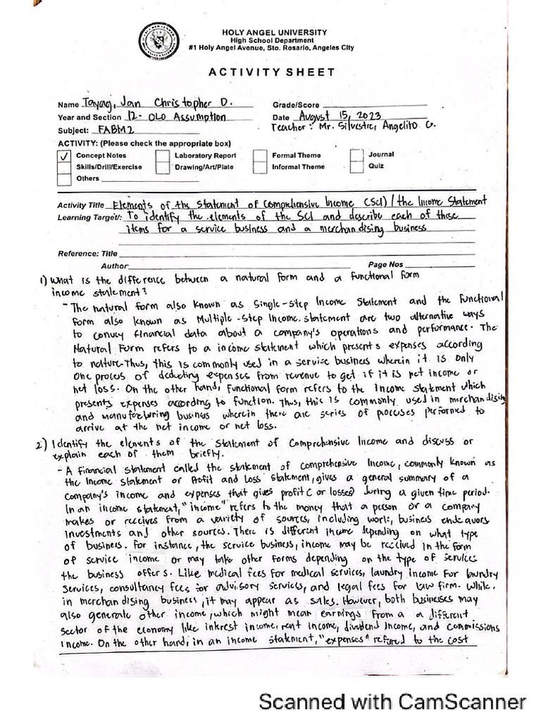 Tayag - OLO Assumption - Income Statement | PDF