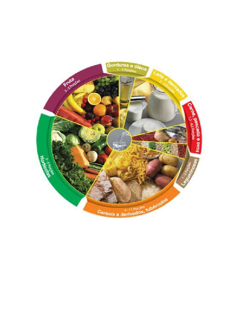 Roda Dos Alimentos | PDF