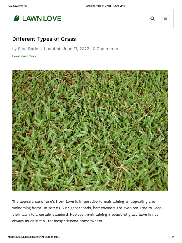 Guide to Lawn Grass Types | PDF | Lawn | Mower