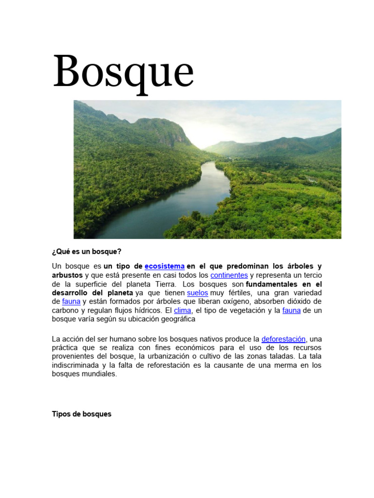 Bosque 2 | PDF | Los bosques | Deforestación